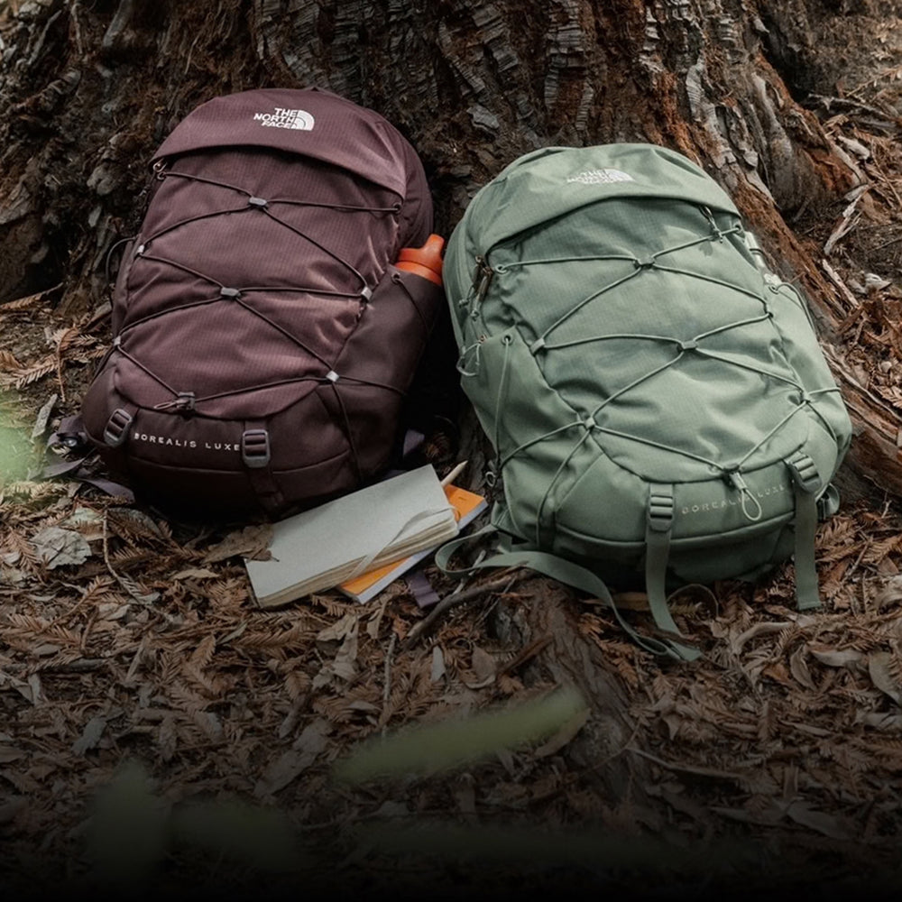 TNF Base Camp Gear Box TNF Black - M | Chicago City Sports